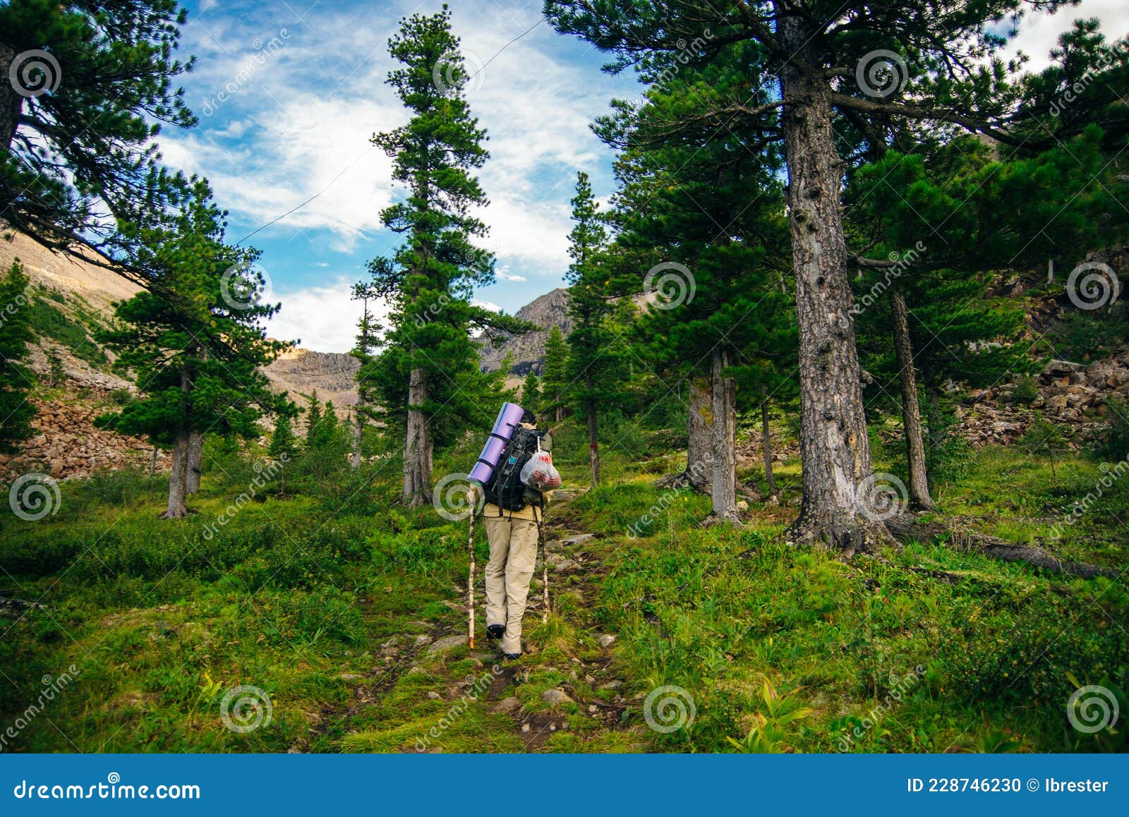Woman Hiker in Hike with a Big Backpack Back View Stock Photo - Image ...