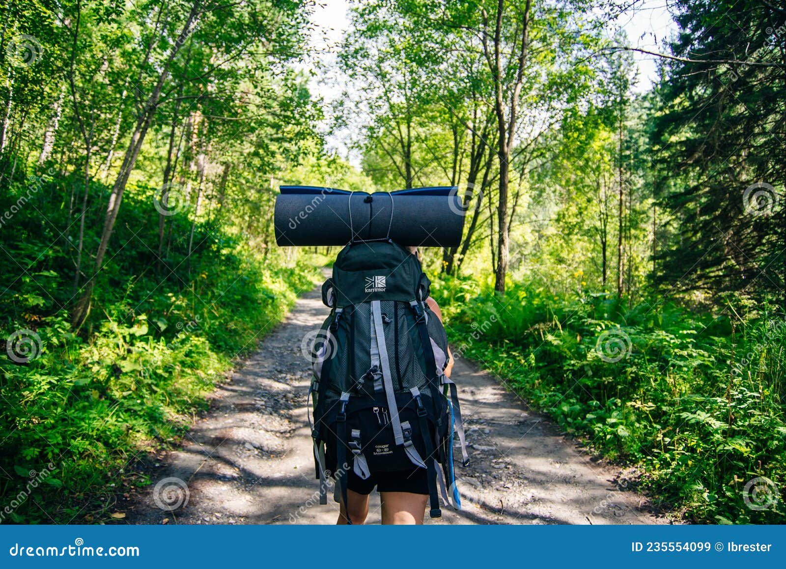 Woman Hiker in Hike with a Big Backpack Back View Editorial Stock Image ...
