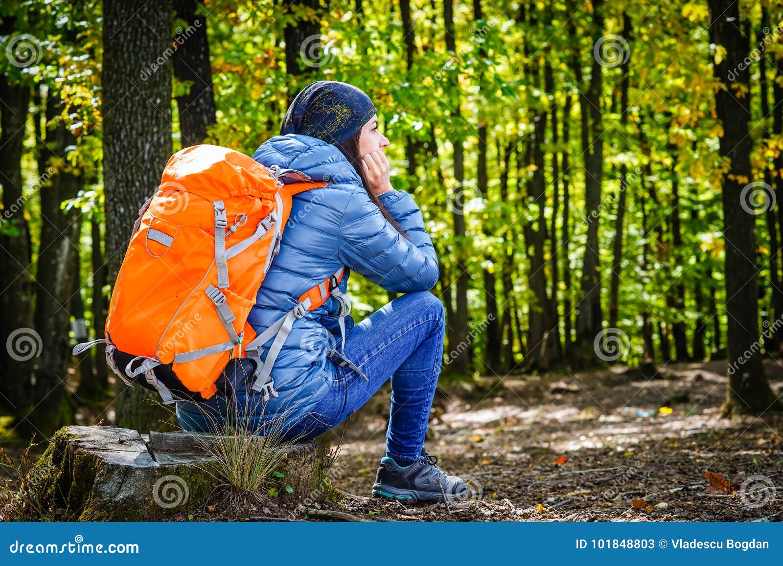 Woman hiker resting stock image. Image of forest, trekking - 101848803