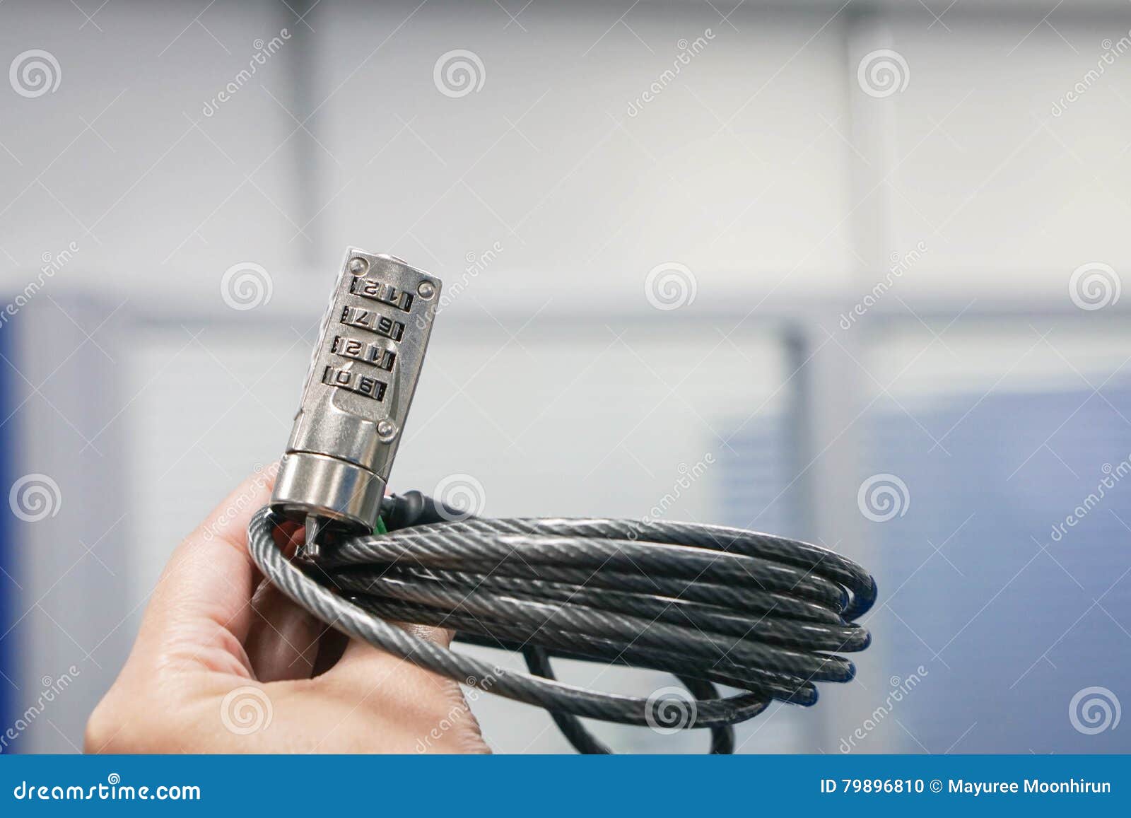 Woman Hold Computer Cable Lock Stock Photo - Image of object ...