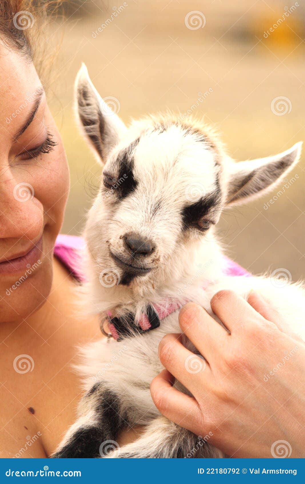 Woman Holding Baby Goat stock photo. Image of attractive - 22180792