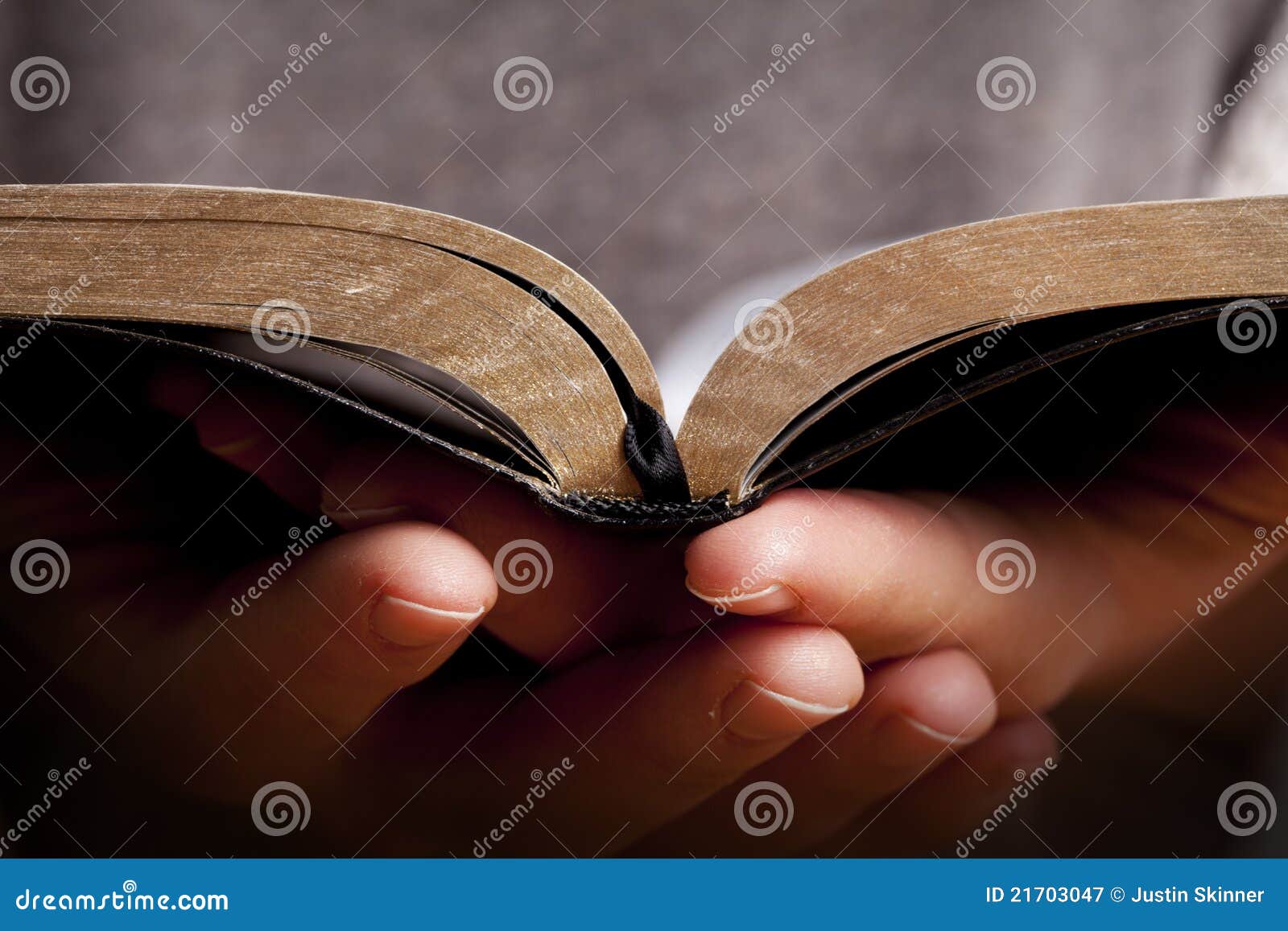 Woman Holding the Bible stock image. Image of contemplation - 21703047