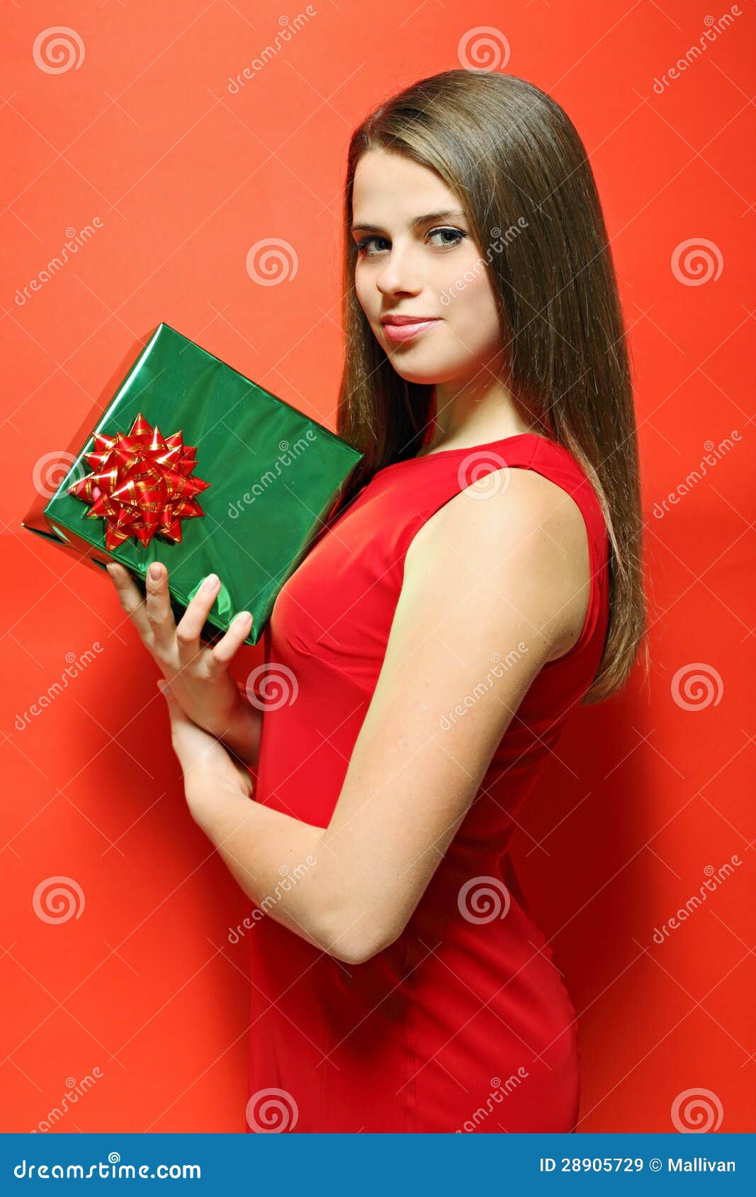 Woman holding a box stock image. Image of adult, person - 28905729