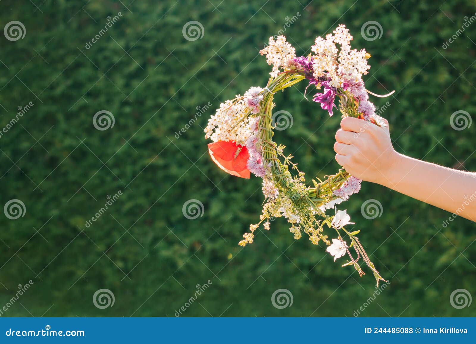 Woman Holding Flower Wreath Summer Solstice Day Midsummer Stock