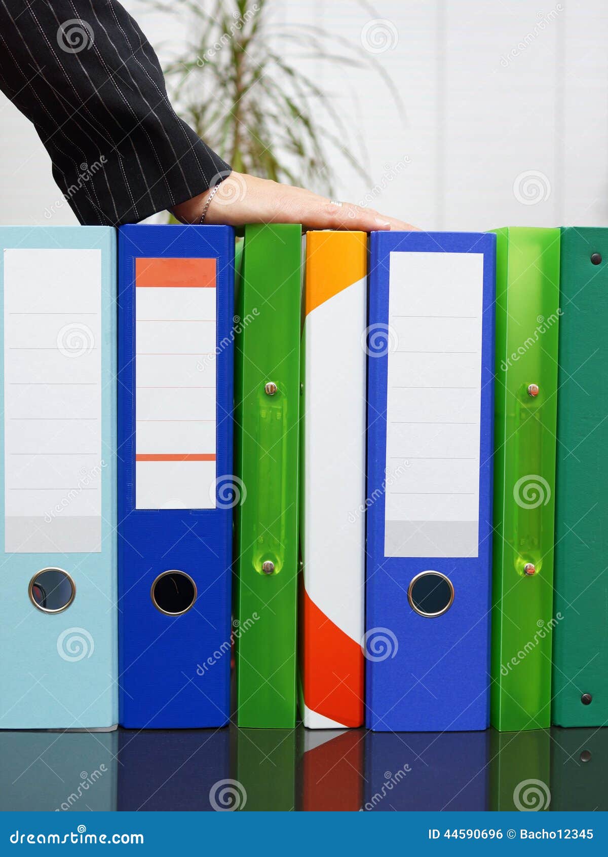 Woman Holding Hand on Binders. Care of Company Documentation Stock ...