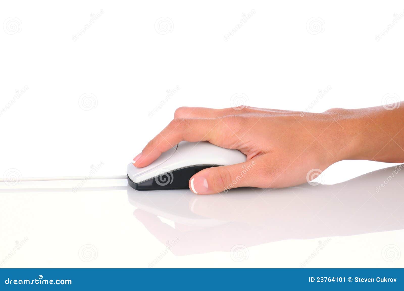 Woman Holding Mouse on White with Reflection Stock Image - Image of ...