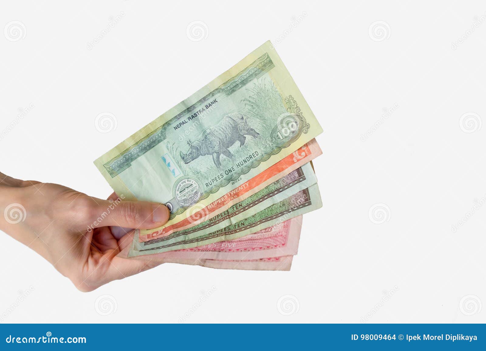 Woman Holding Nepal Rupees Notes in Her Hand Stock Photo - Image of ...