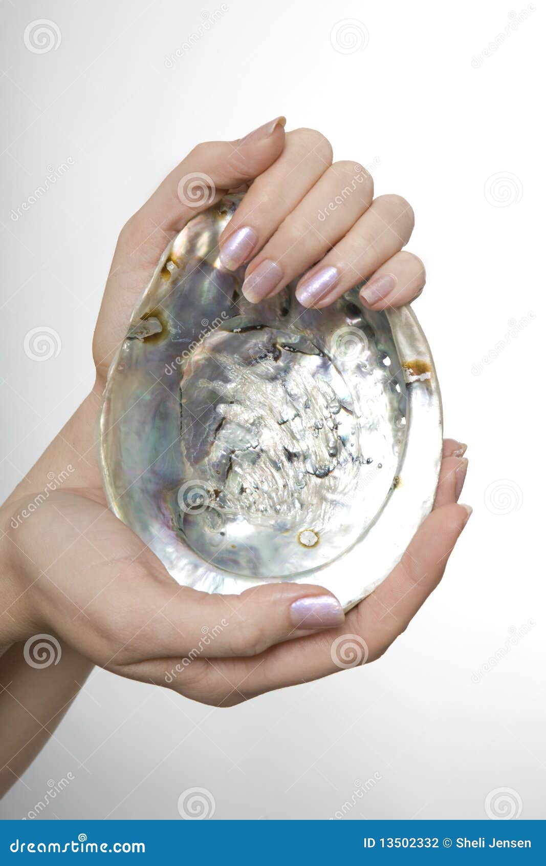 Woman Holding an Abalone Shell Stock Photo - Image of cosmetics ...