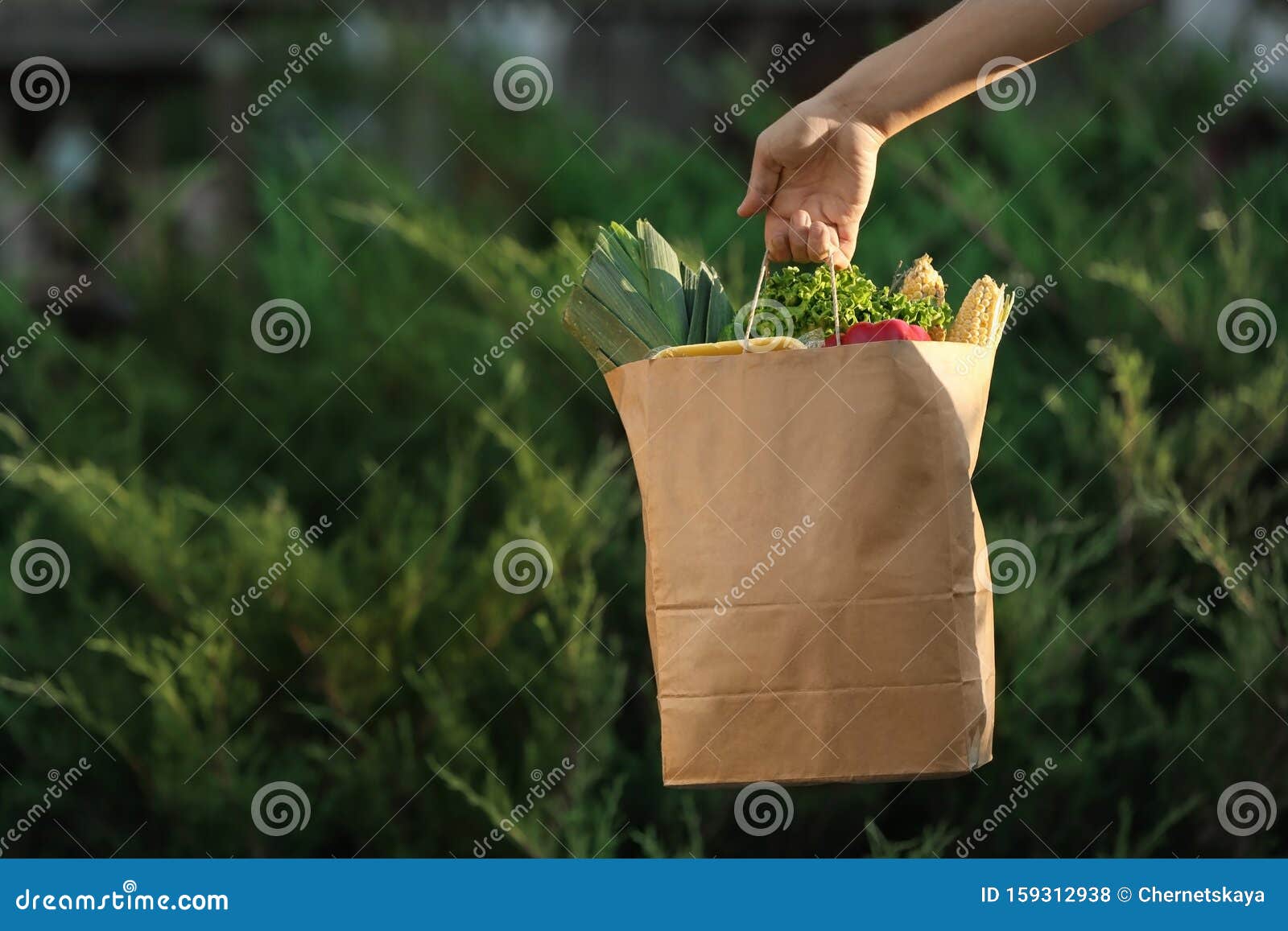 Woman Holding Paper Bag with Fresh Vegetables, Space for Text Stock ... Woman Holding Paper Bag with Fresh Vegetables, Space for Text Stock ...