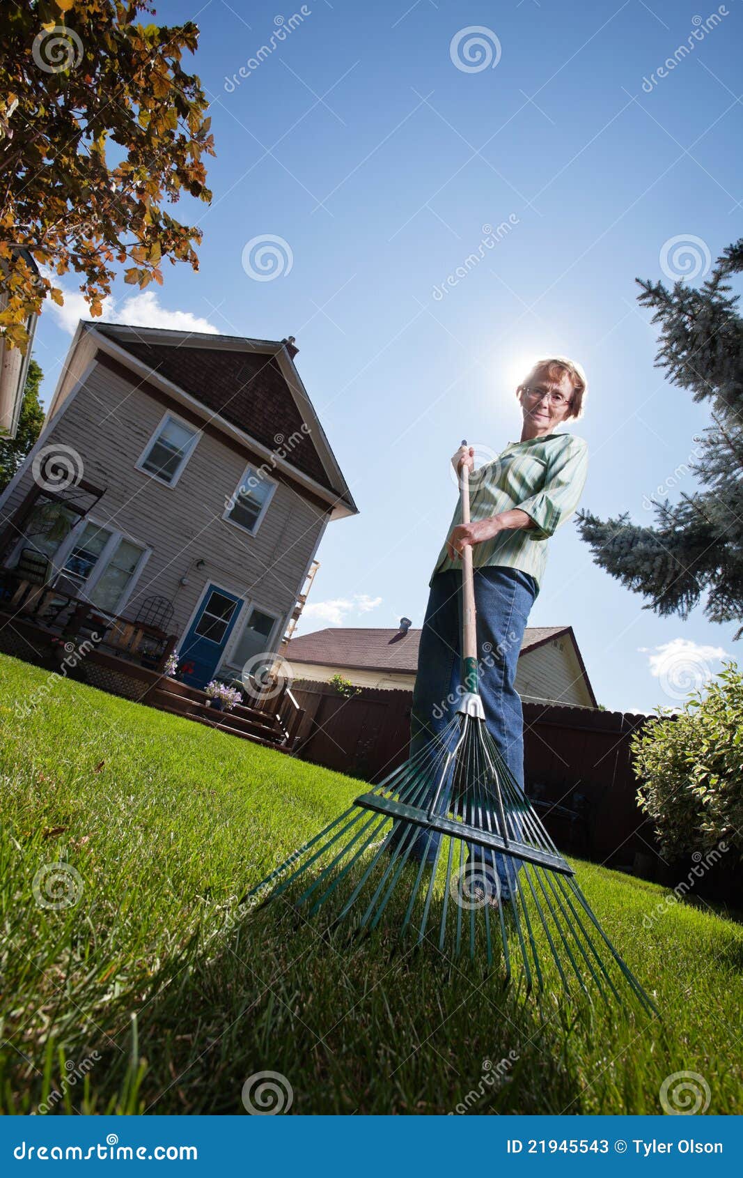 Woman holding rake stock image. Image of leaves, older - 21945543