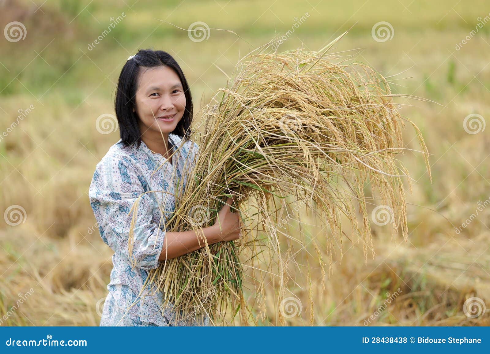 Woman holding rice stock photo. Image of bunch, human - 28438438