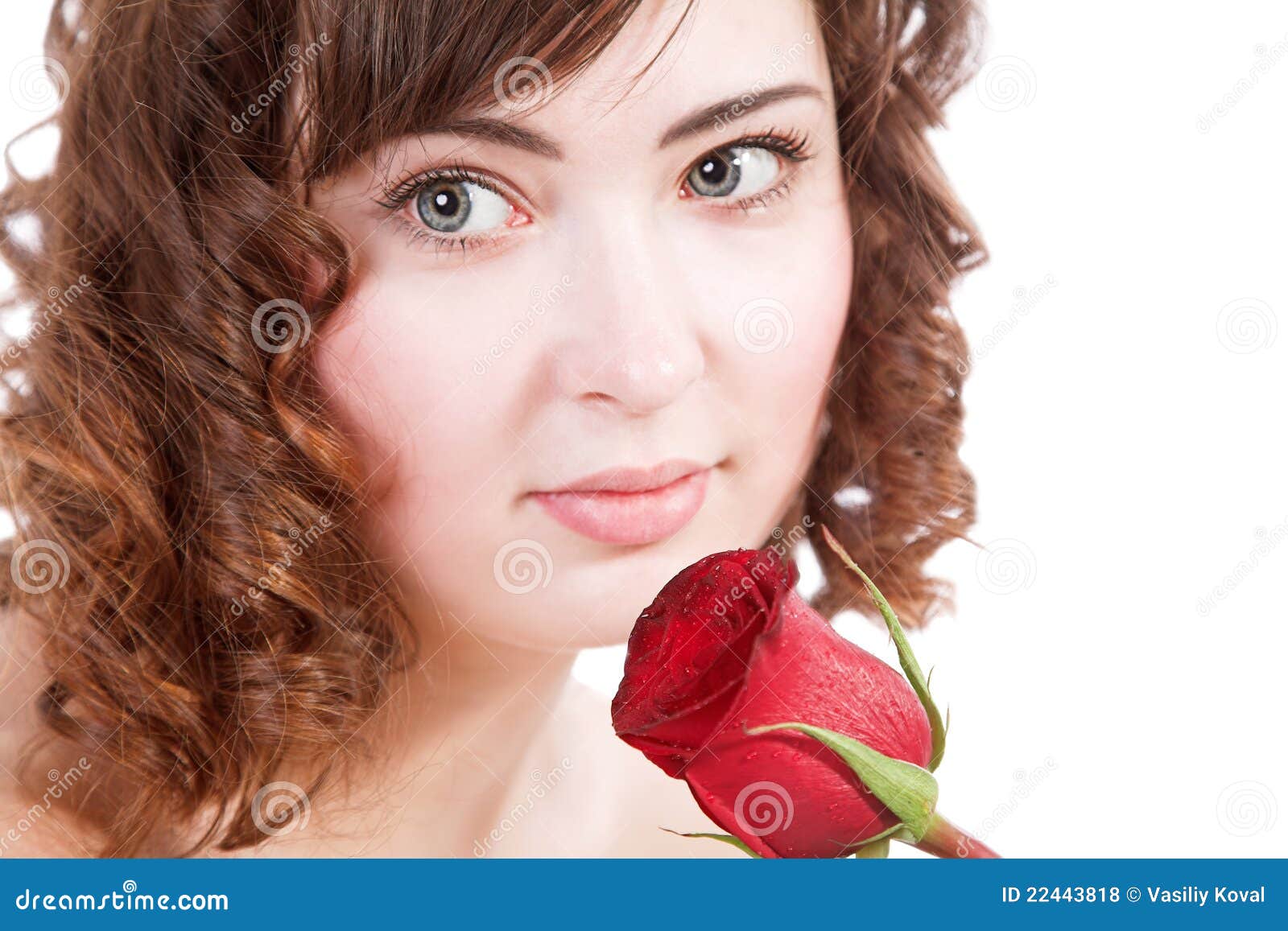 Woman holding rose stock photo. Image of girlfriend, female - 22443818