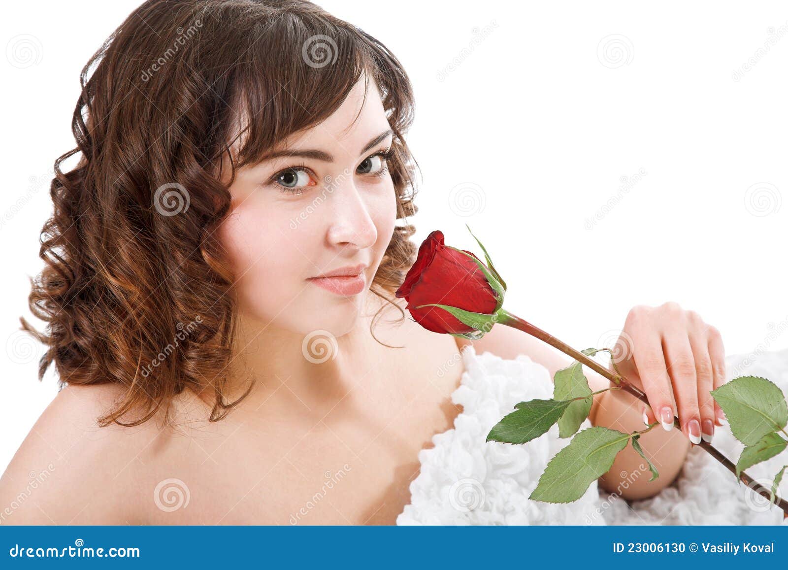Woman holding rose stock photo. Image of human, female - 23006130