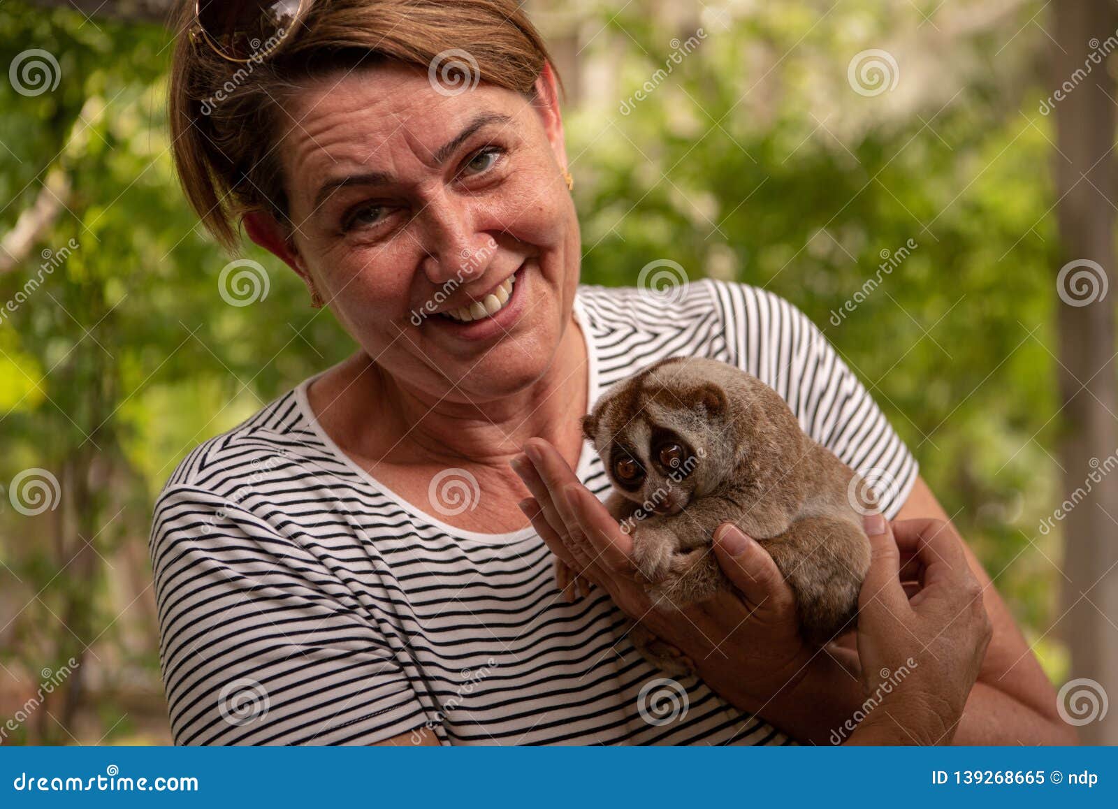 Woman Holding Slow Loris Smiles at Camera Stock Image - Image of ...