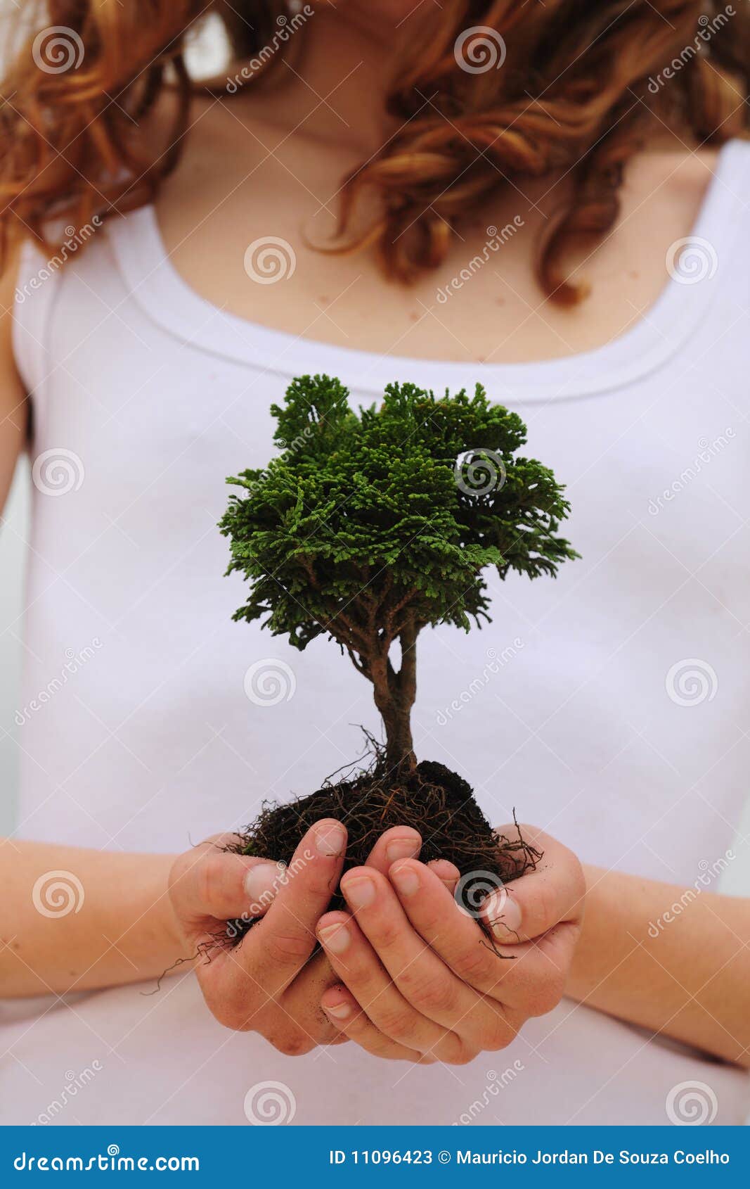 Woman holding a small tree stock image. Image of hold - 11096423
