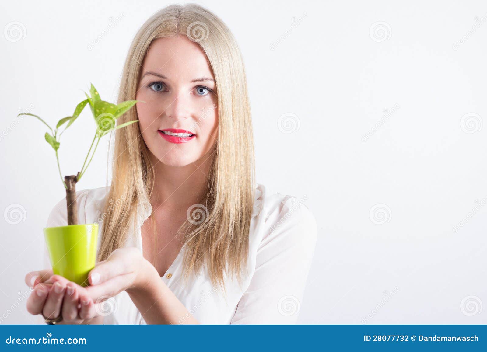 Woman holding a small tree stock photo. Image of ecosystem - 28077732