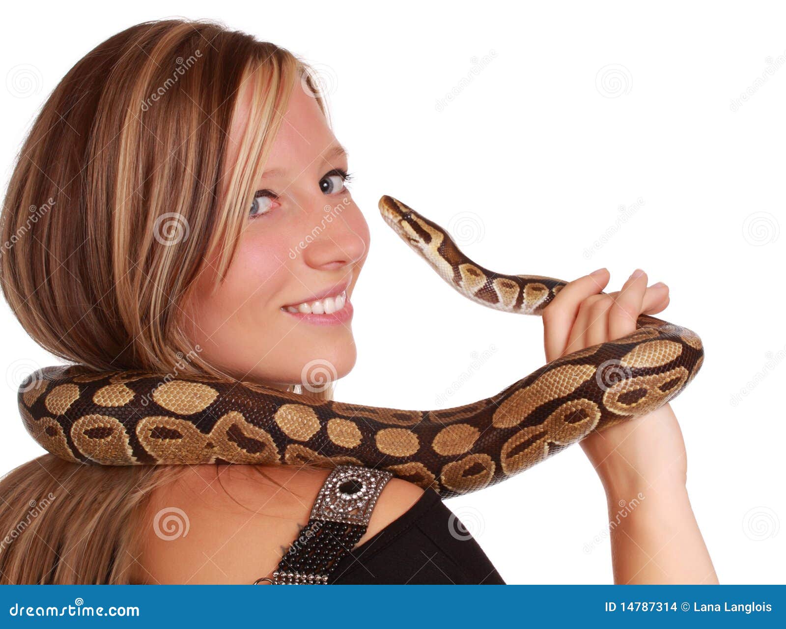 Woman holding a snake stock photo. Image of reptile, animal - 14787314
