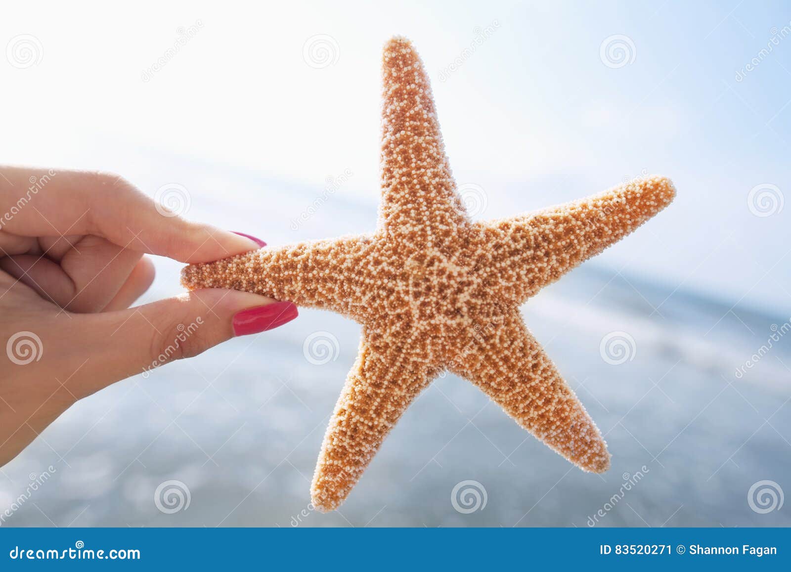 Woman Holding Starfish at the Beach Stock Image - Image of ocean ...