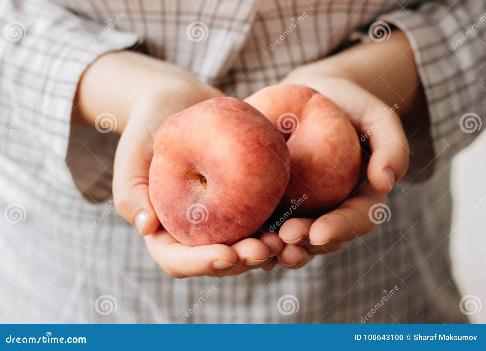 Woman Holding Two Ripe Peaches in Her Hands. Stock Photo - Image of ...