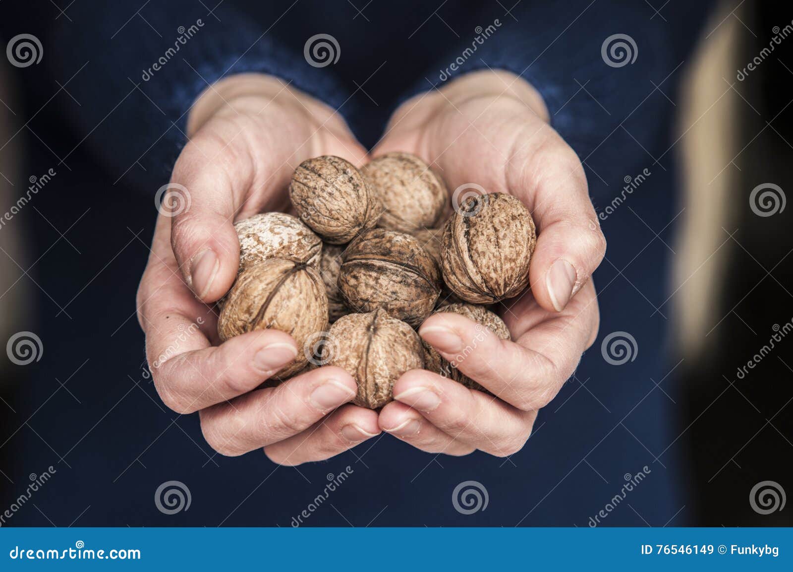 Woman holding walnuts stock image. Image of heap, healthy - 76546149