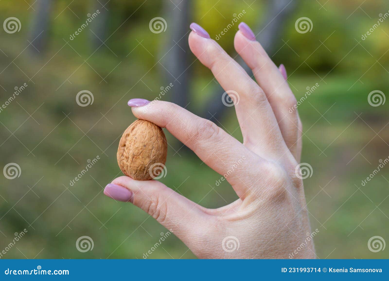 Woman Holding Whole Walnut in Her Fingers. Stock Photo - Image of ... Woman Holding Whole Walnut in Her Fingers. Stock Photo - Image of ...