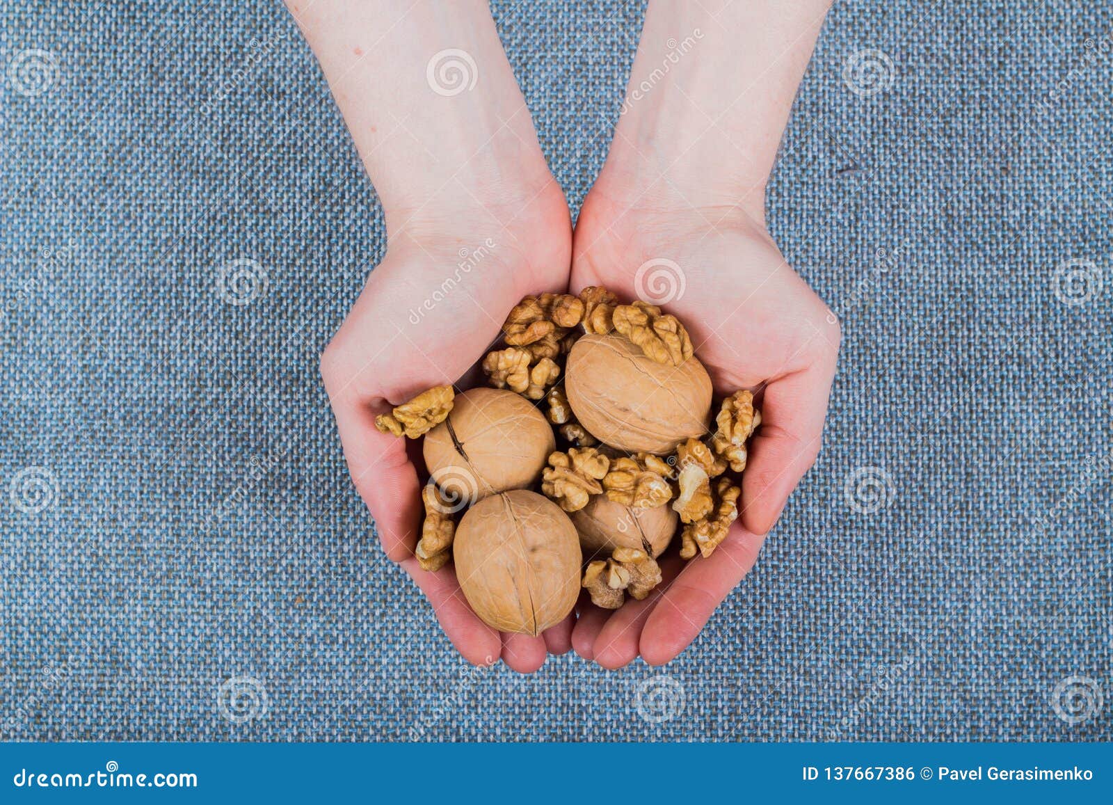 Woman Holding Whole Walnut in Her Hands. Walnut Isolated. Walnut ... Woman Holding Whole Walnut in Her Hands. Walnut Isolated. Walnut ...