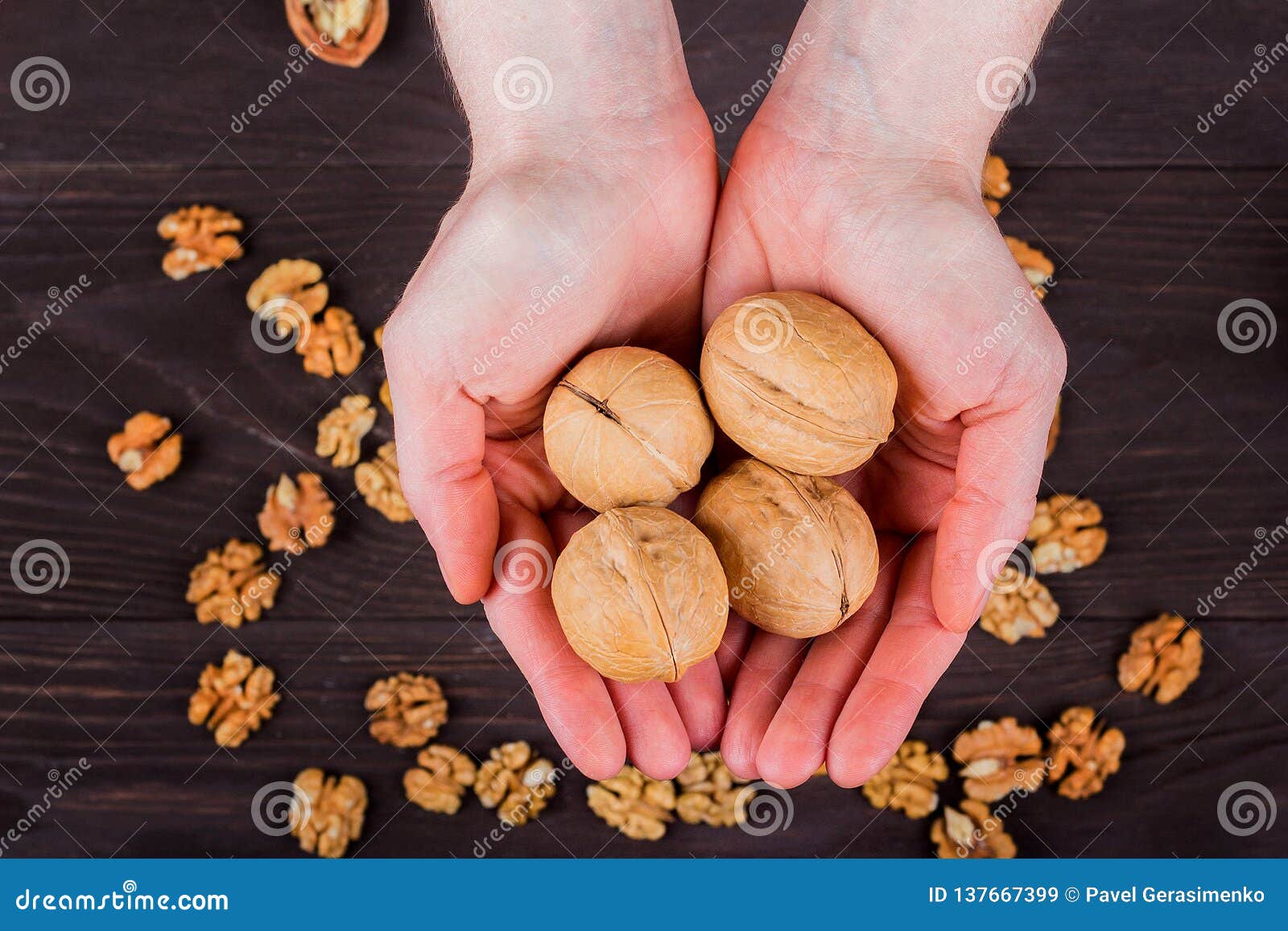 Woman Holding Whole Walnut in Her Hands. Walnut Isolated. Walnut ... Woman Holding Whole Walnut in Her Hands. Walnut Isolated. Walnut ...