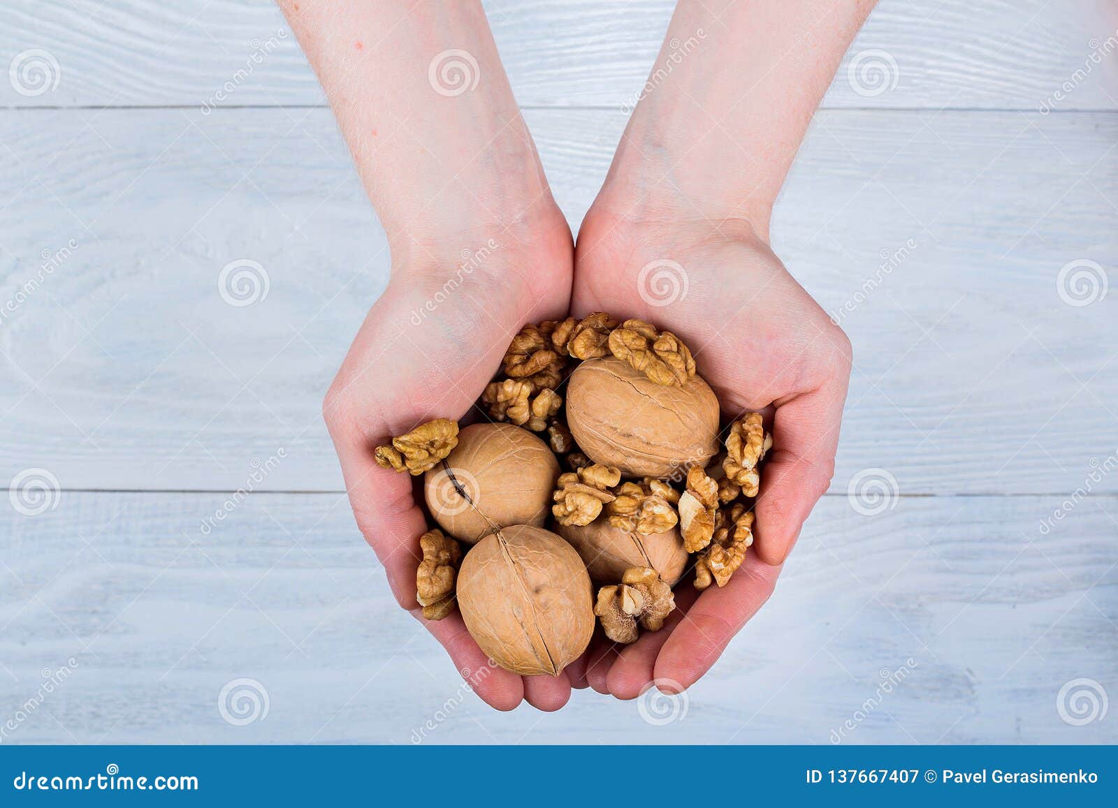 Woman Holding Whole Walnut in Her Hands. Walnut Isolated. Walnut ... Woman Holding Whole Walnut in Her Hands. Walnut Isolated. Walnut ...