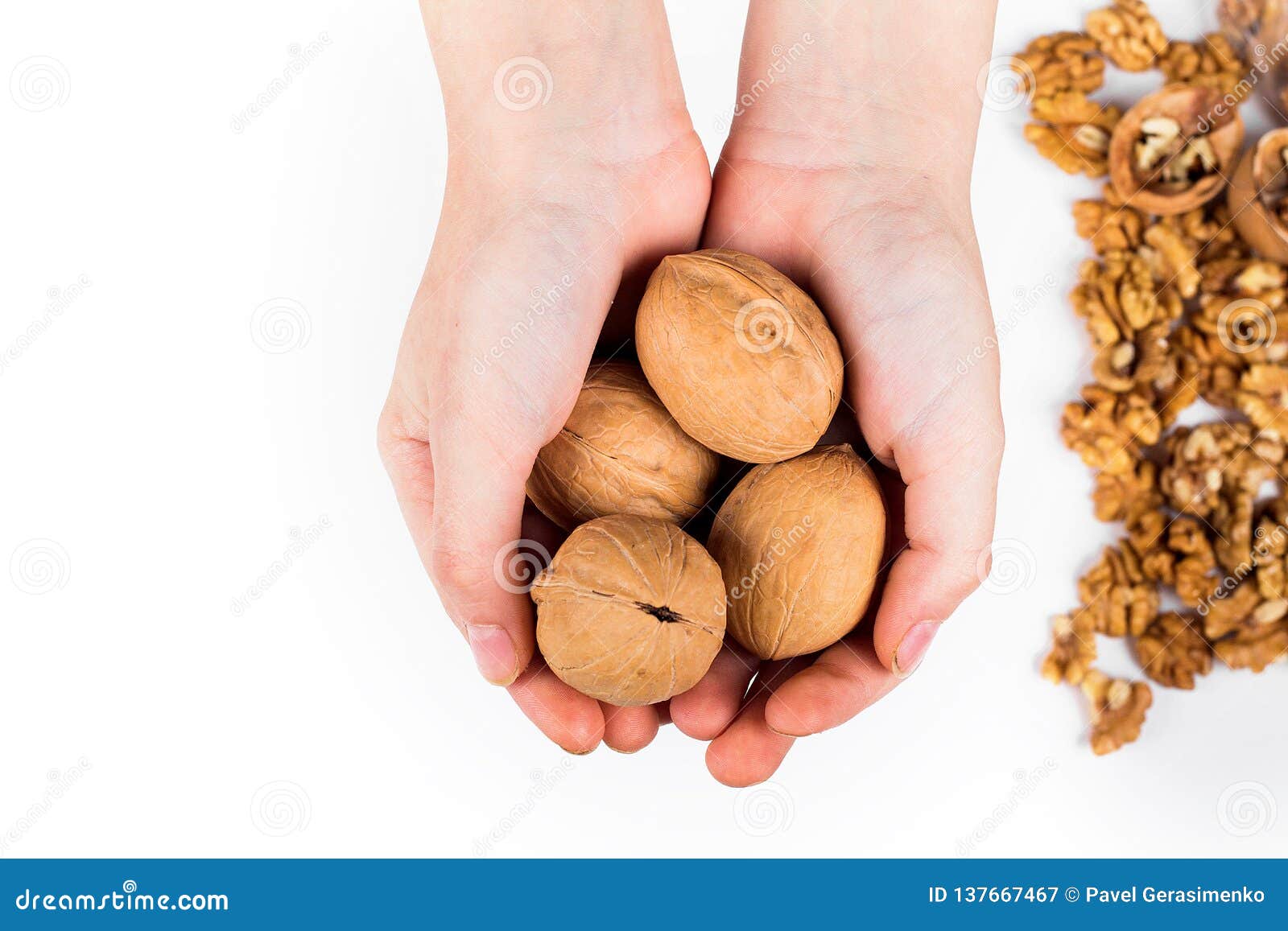 Woman Holding Whole Walnut in Her Hands. Walnut Isolated. Walnut ... Woman Holding Whole Walnut in Her Hands. Walnut Isolated. Walnut ...