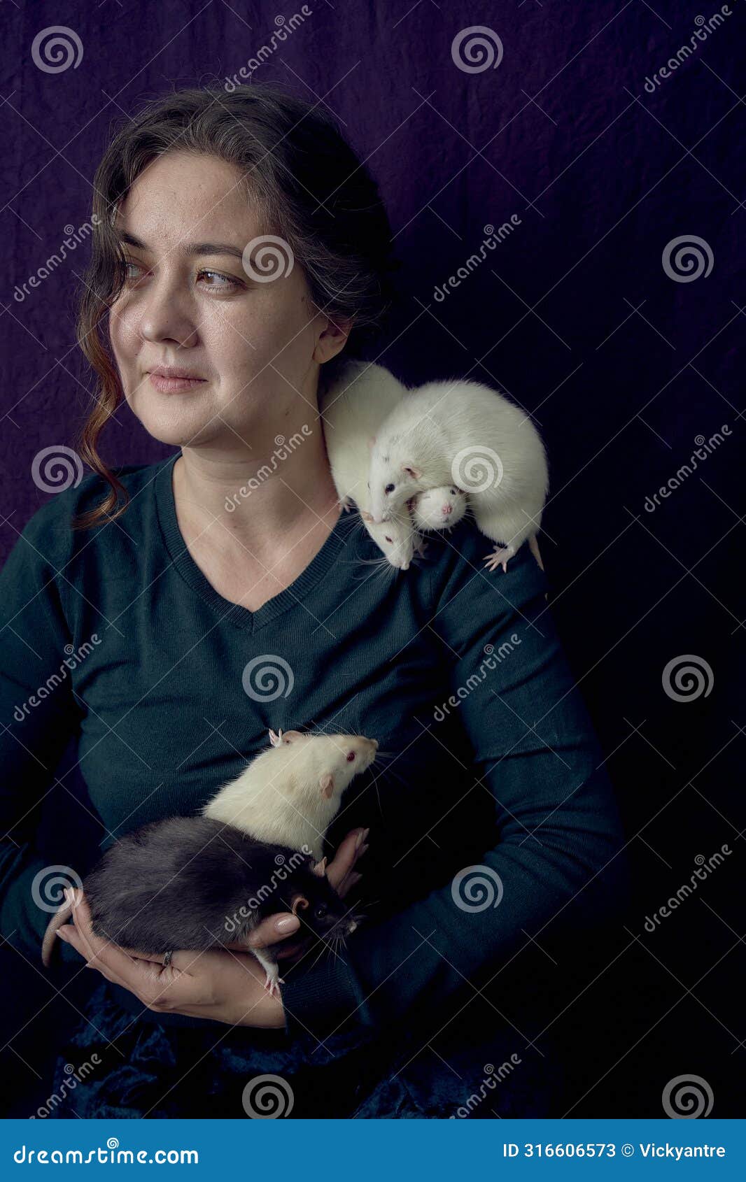 The Woman Holds All Her Five Rats in Her Hands Stock Image - Image of ...