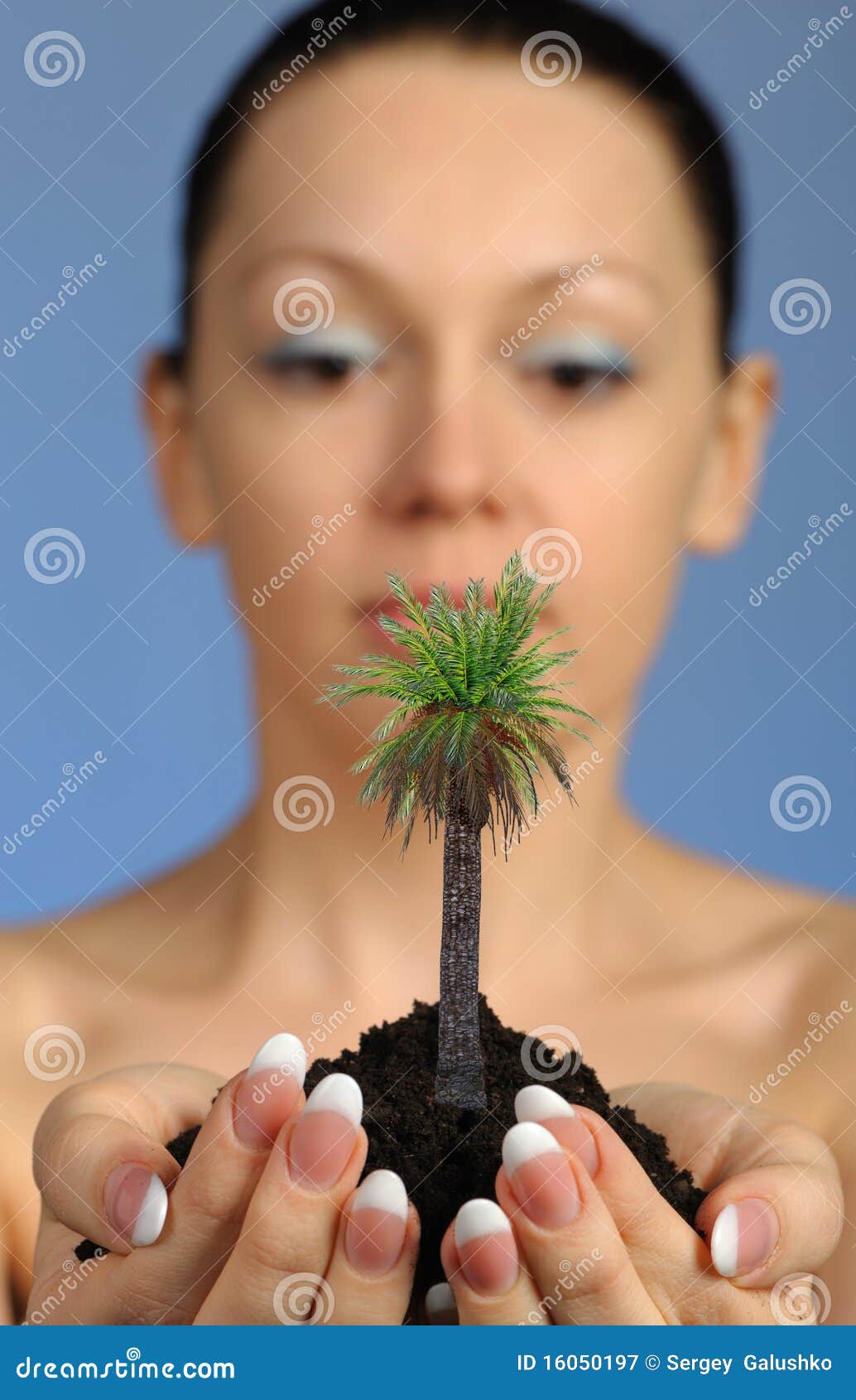 The Woman Holds In Hands Soil With A Palm Tree Royalty-Free Stock ...
