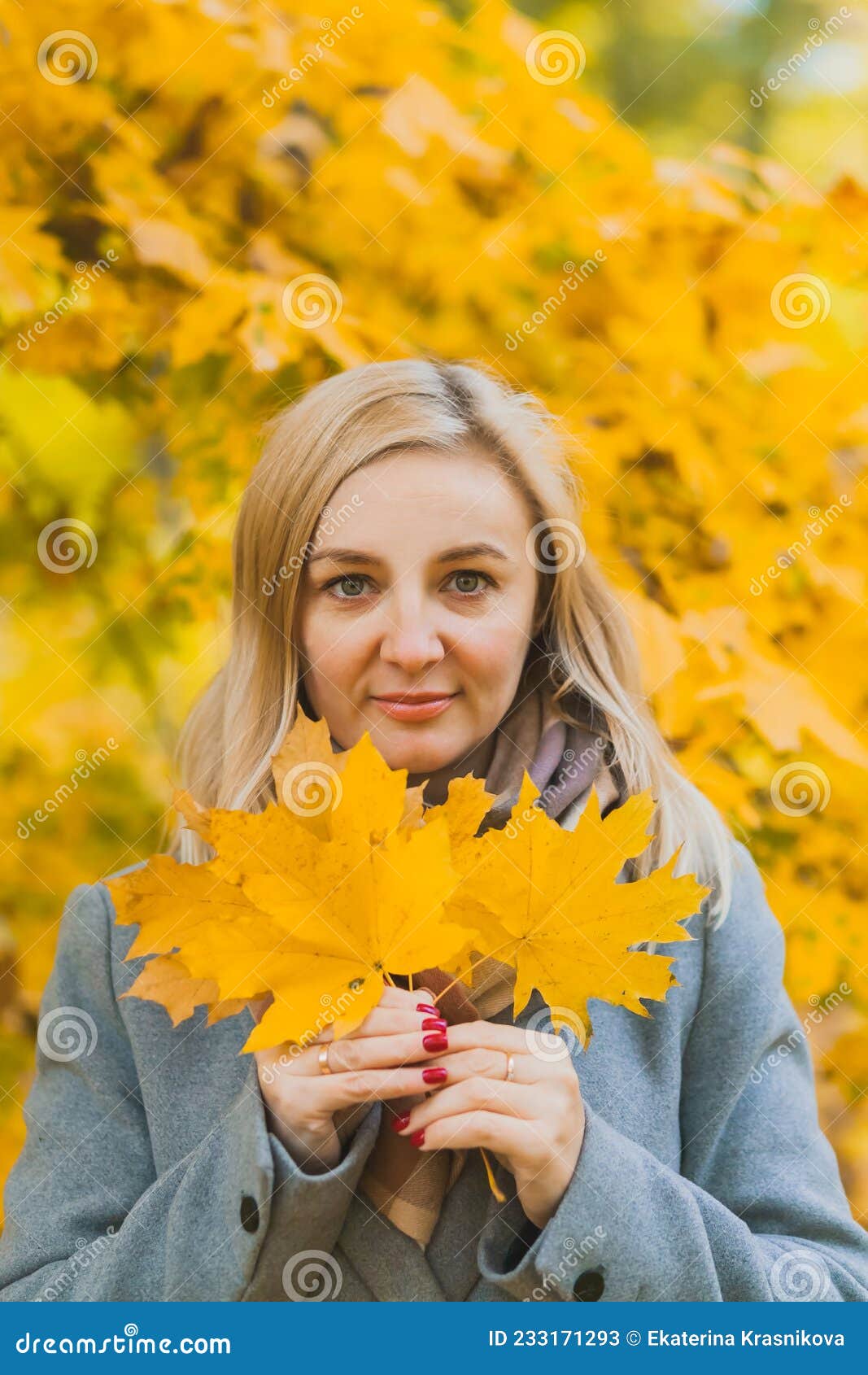 A Woman Holds Maple Yellow Leaves In Her Hands In A Park Against A