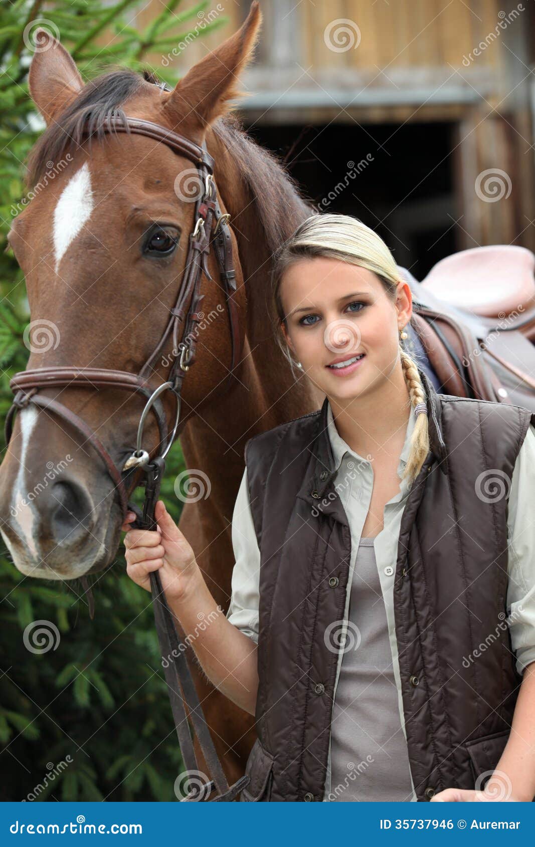 207 Pigtail Horse Stock Photos - Free & Royalty-Free Stock Photos from ...