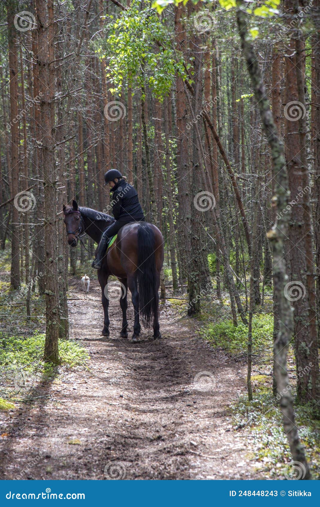 Woman Horseback Riding in Forest Path Stock Image - Image of animal ...