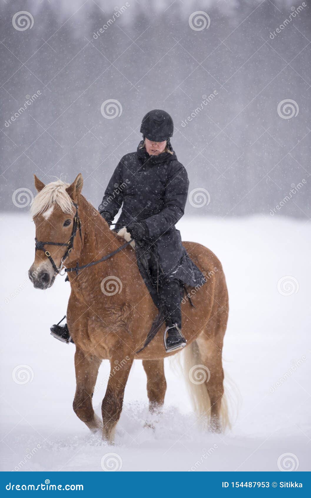 Woman Horseback Riding in Winter Snowfall Stock Image - Image of ...