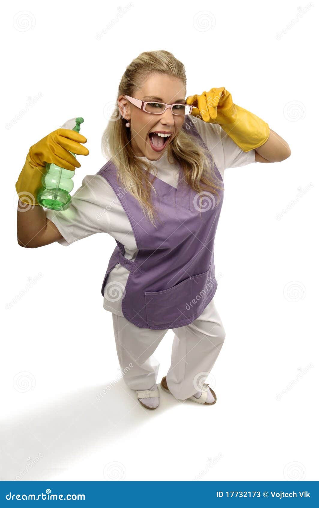 Woman hosuekeeper stock image. Image of beauty, house - 17732173