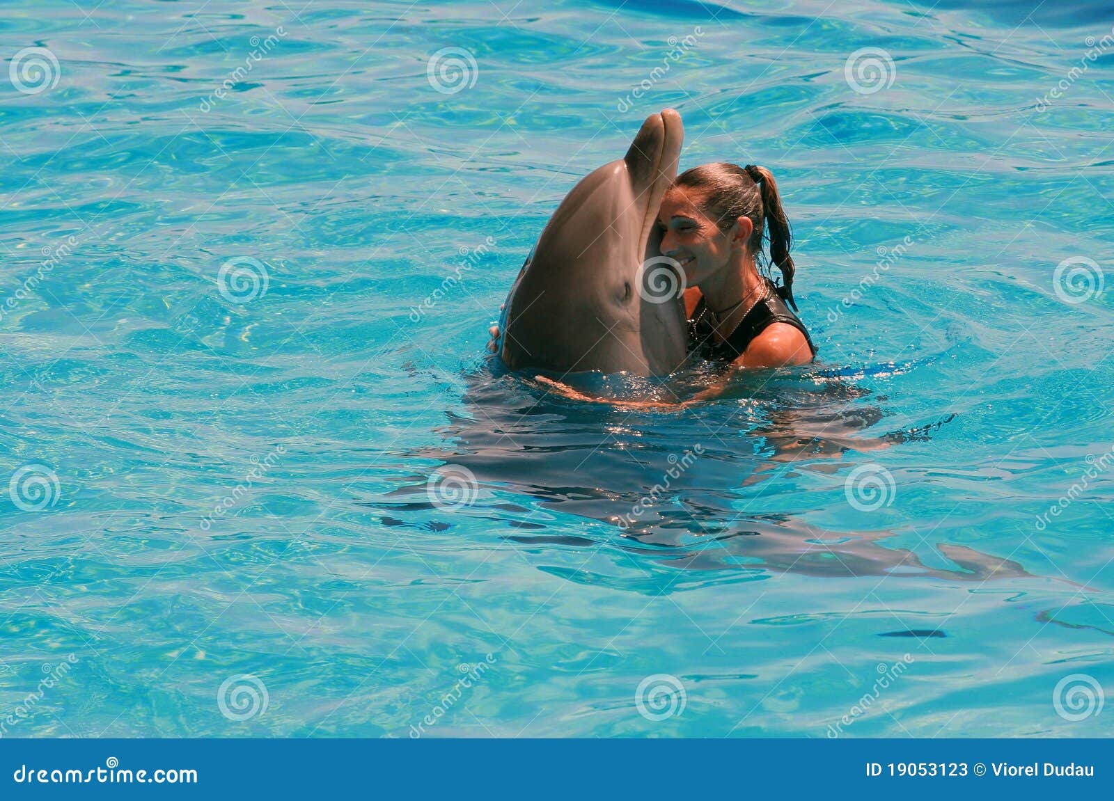 Woman Hugging a Dolphin in the Water Editorial Stock Photo - Image of ...
