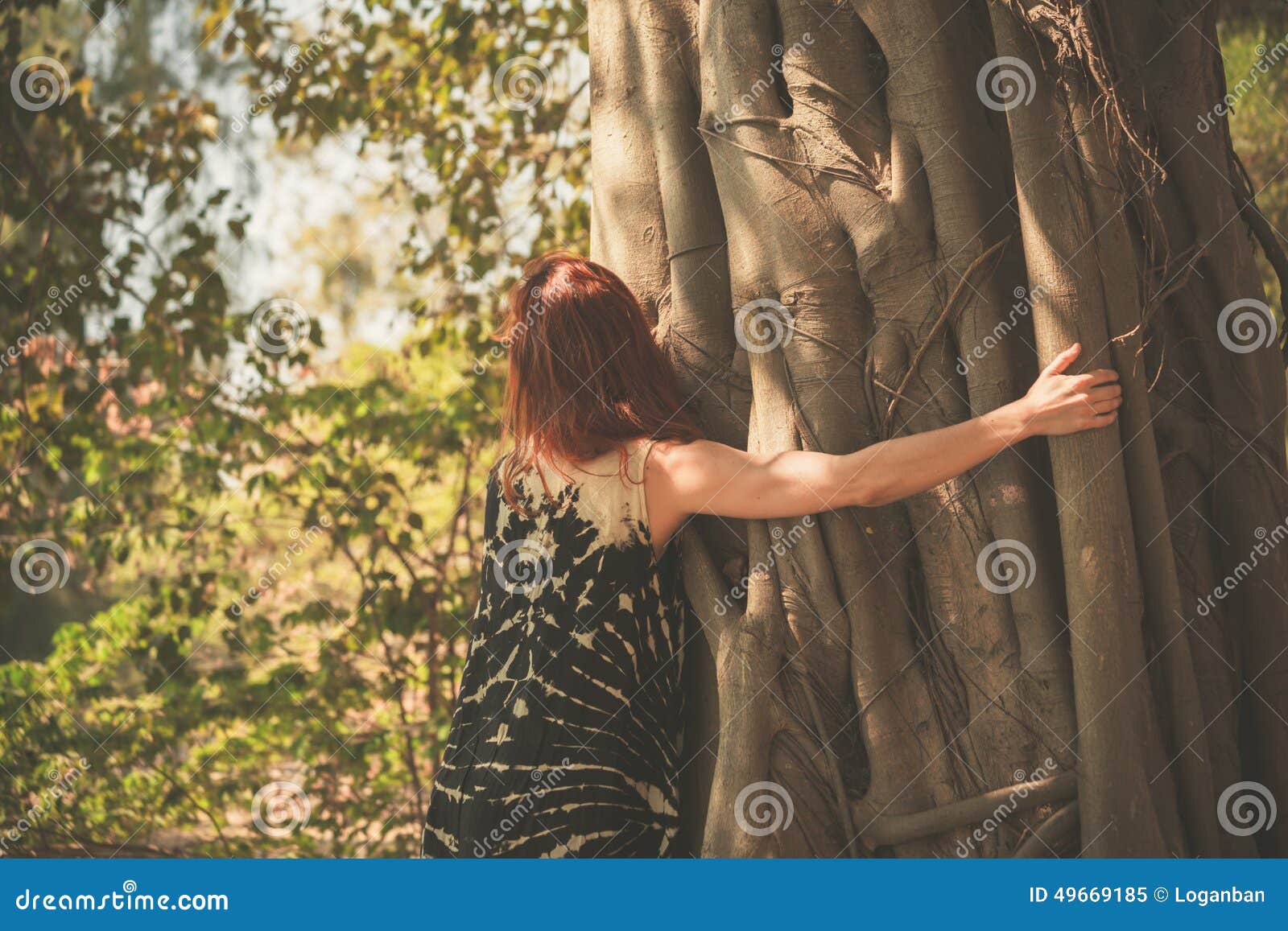 Woman hugging a giant tree stock image. Image of embracing - 49669185