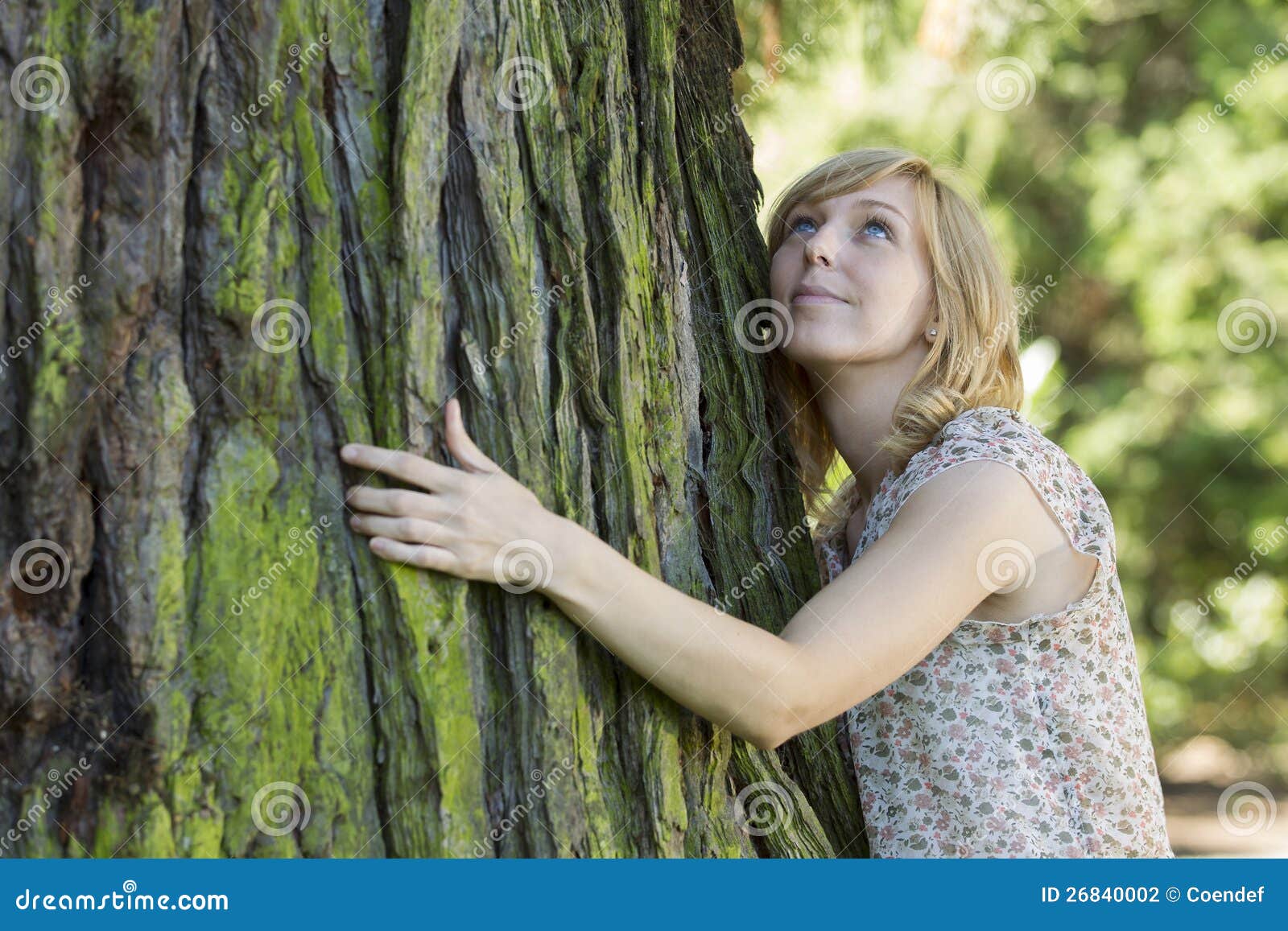 Woman Hugging Large Tree Trunk while Looking Up Stock Photo - Image of ...