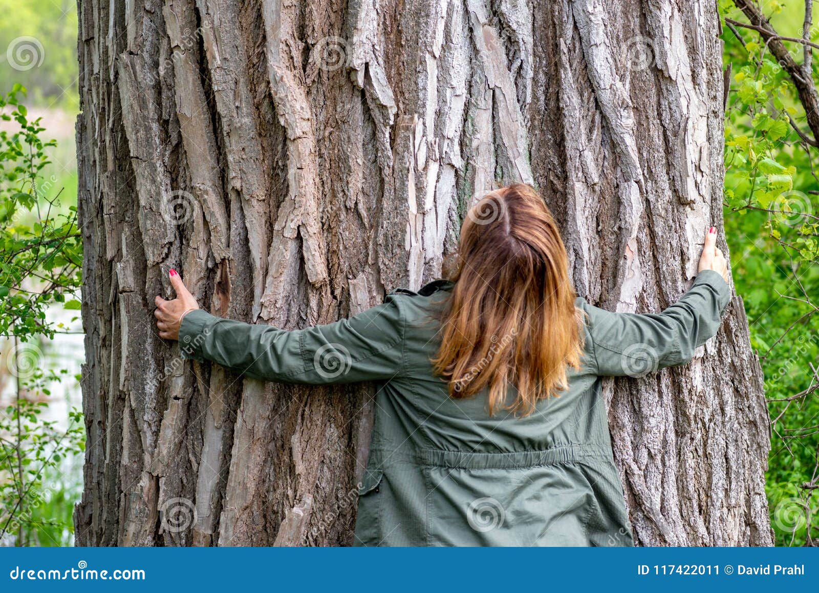 Tree hugger stock image. Image of bark, happy, texture - 117422011