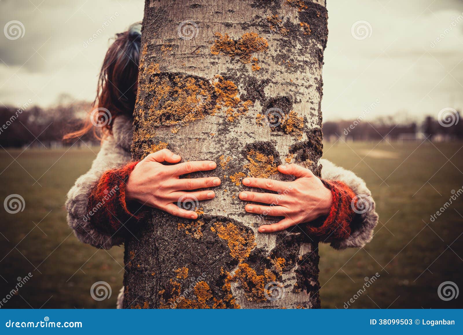 Woman hugging a tree stock image. Image of environmentalist - 38099503