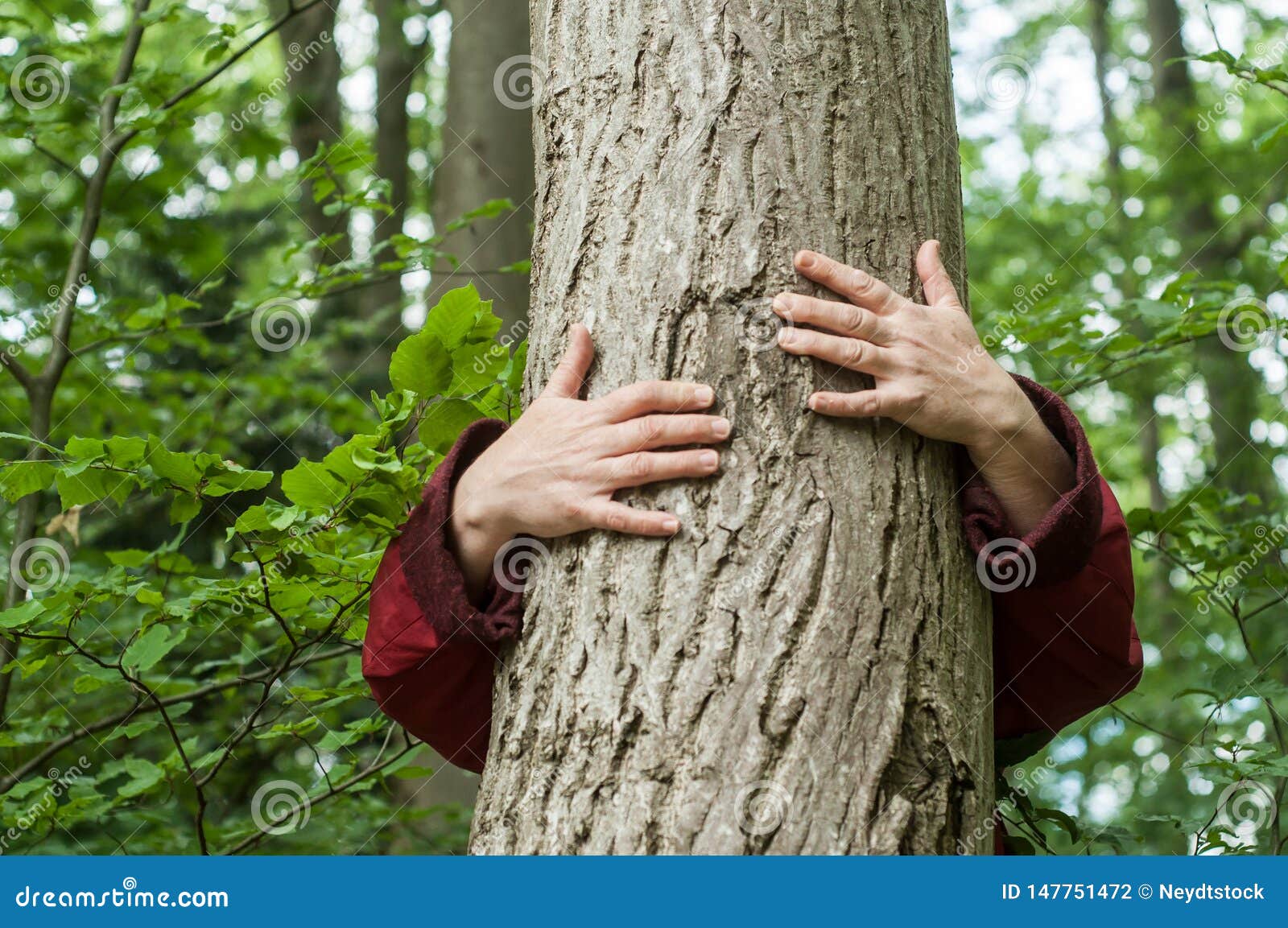 Woman Hugging a Tree in a Forest Stock Photo - Image of concept, nature ...