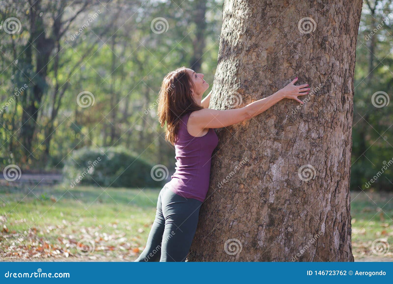 Woman Hugging a Tree in the Park Stock Photo - Image of connecting ...
