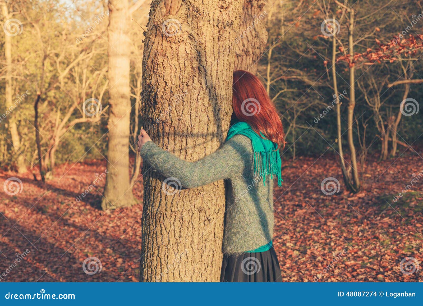 Woman Hugging Tree at Sunset Stock Photo - Image of trees, love: 48087274