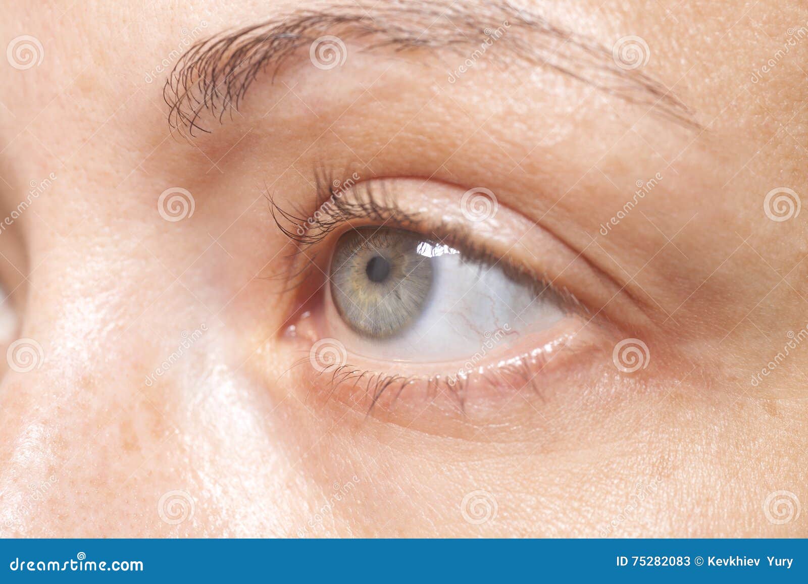 Woman human eye stock image. Image of eyebrow, attractive - 75282083