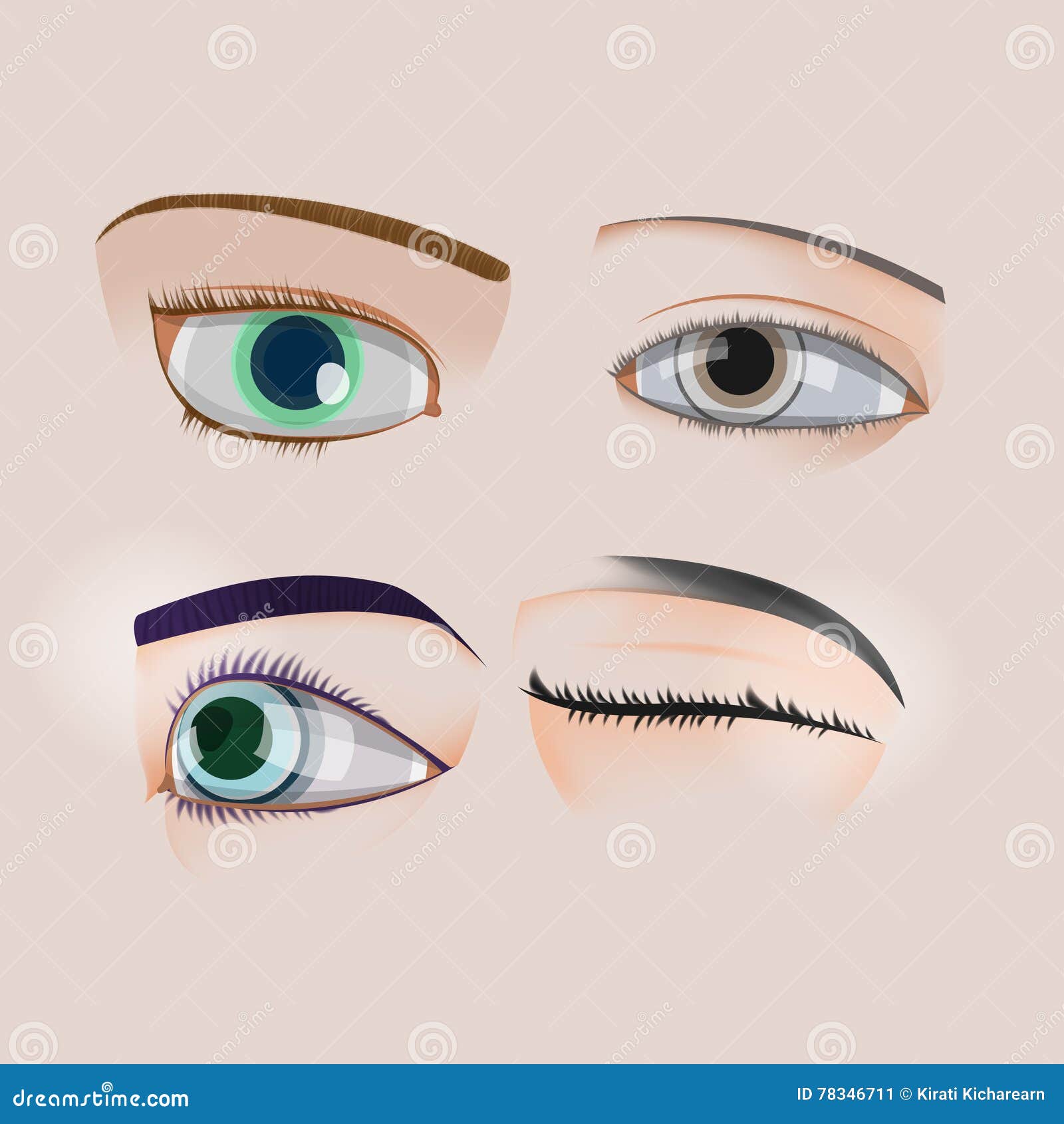 Woman Human Eye Set Collection Vector Stock Vector - Illustration of ...