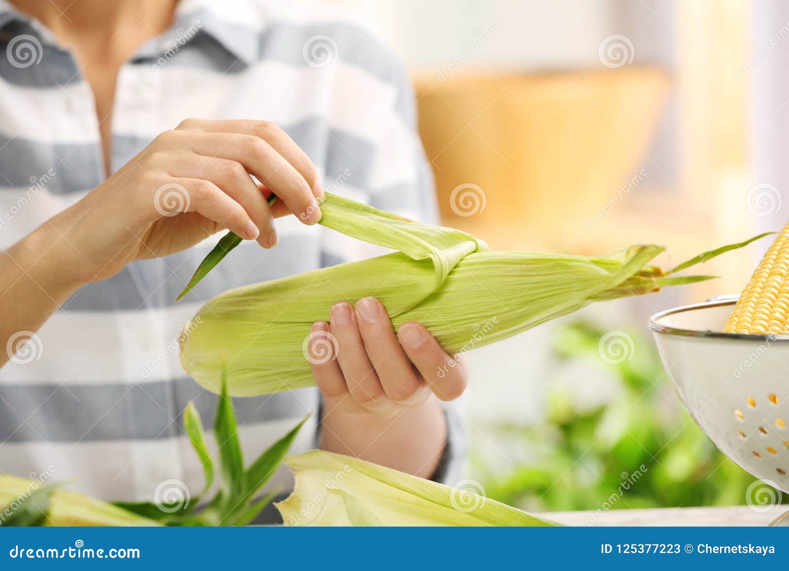 Woman Husking Corn at Table Stock Image - Image of grain, farming ...