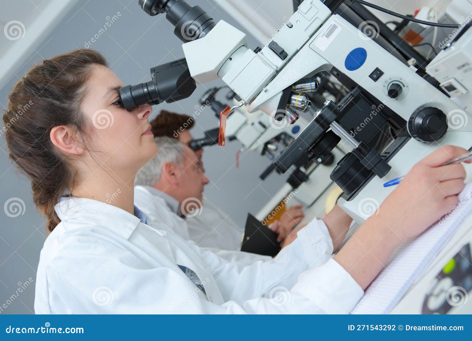 Woman Inspecting Organism through Microscope Stock Photo - Image of ...