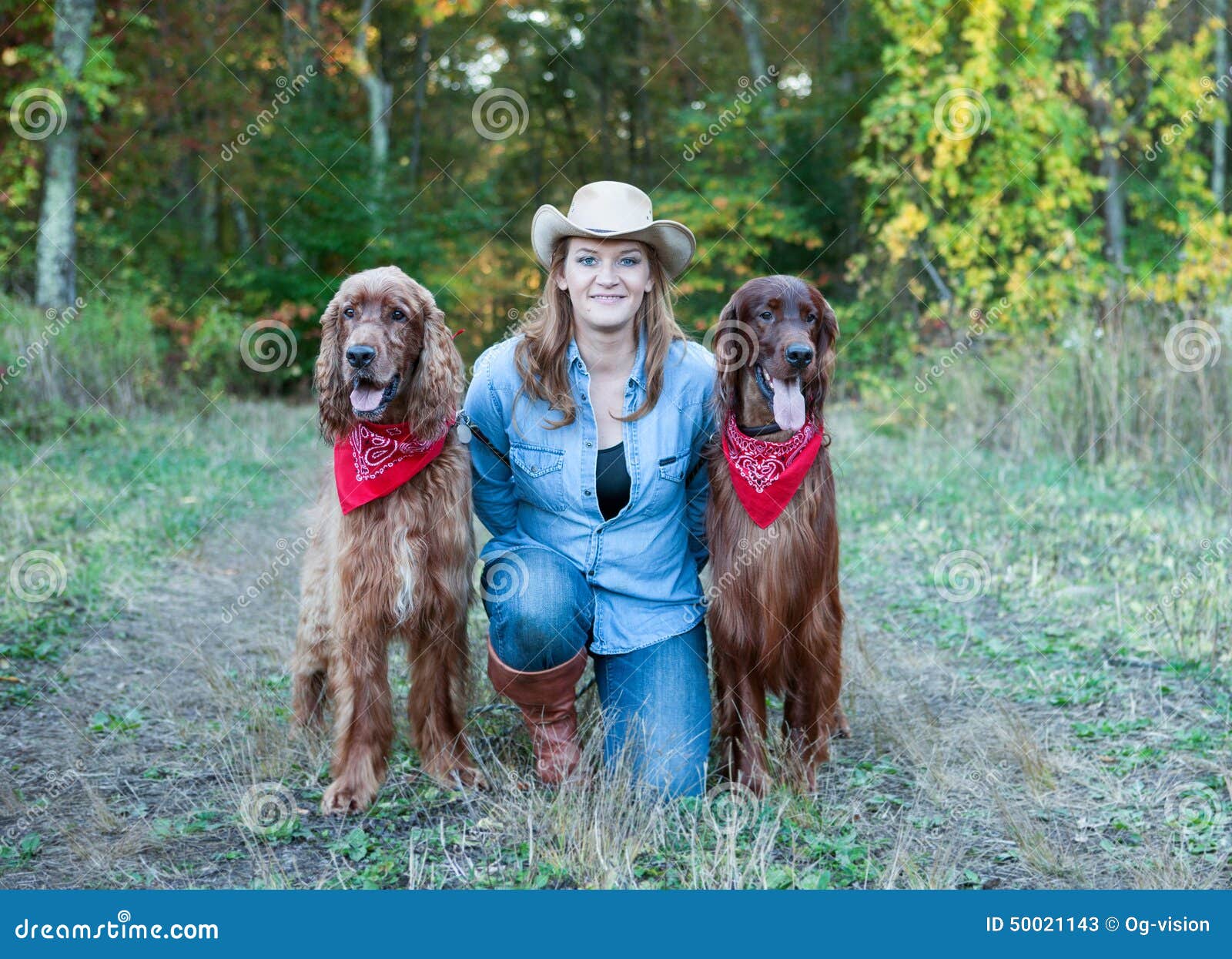 Woman with Irish Setter Dogs Stock Image - Image of friends ...