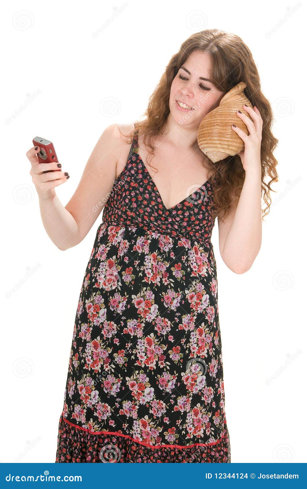 Marine Conch Marine Mollusc Of Turtle Island In The Coastal Zone Beach ...